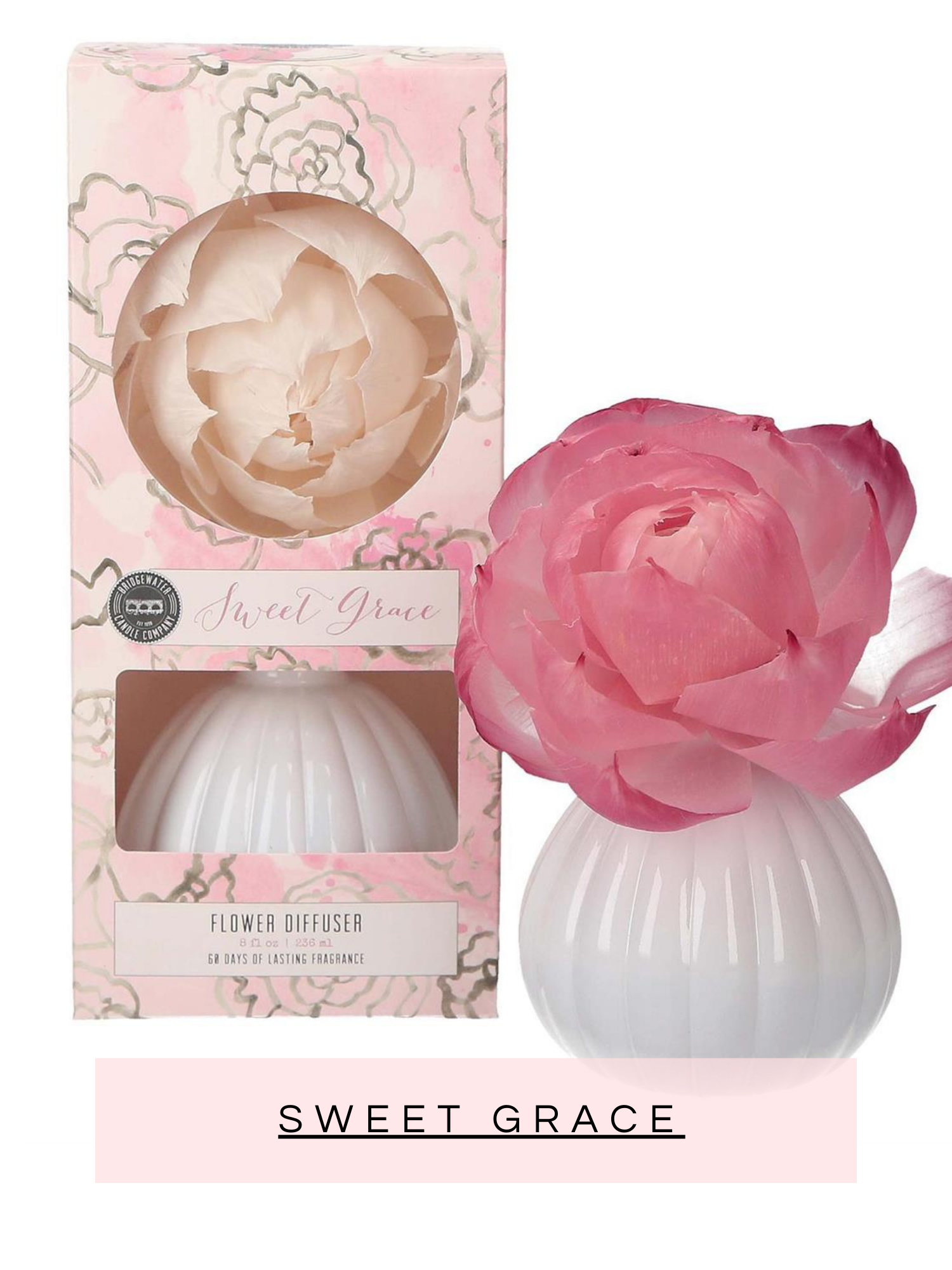 Best Sellers – The Rose and Bee